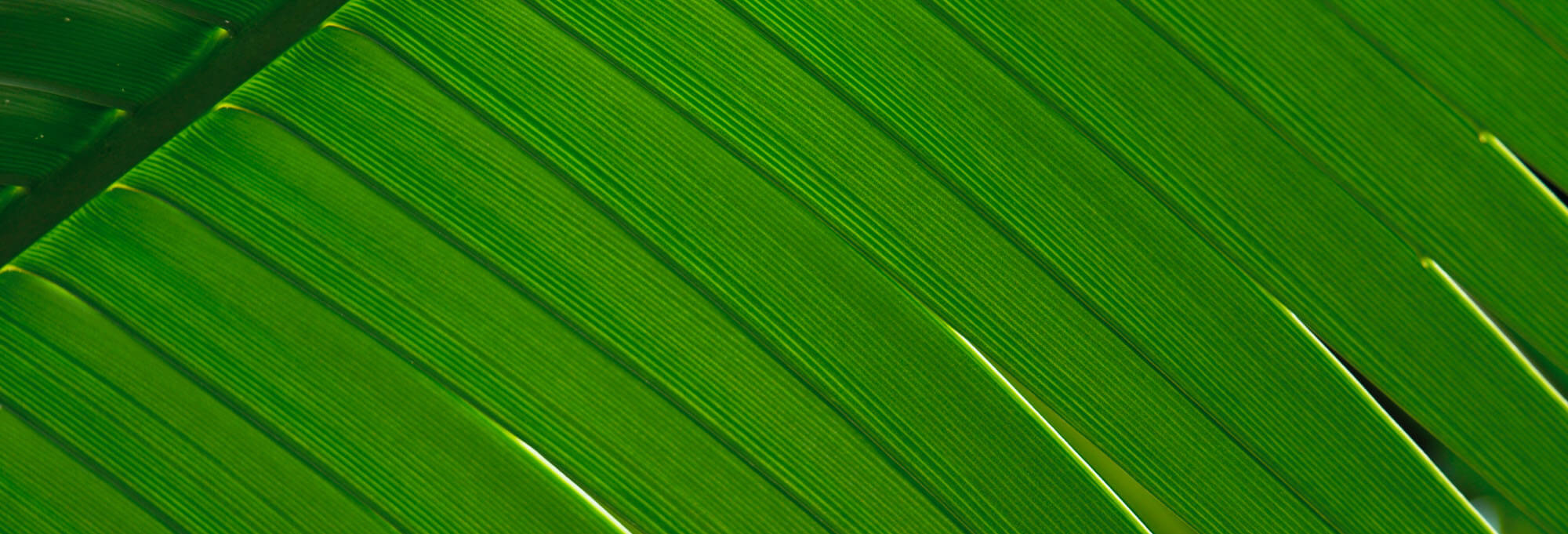 About Us - MacroViewpoint.com