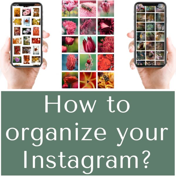 Organizing your Instagram feed - how and why? - MacroViewpoint.com