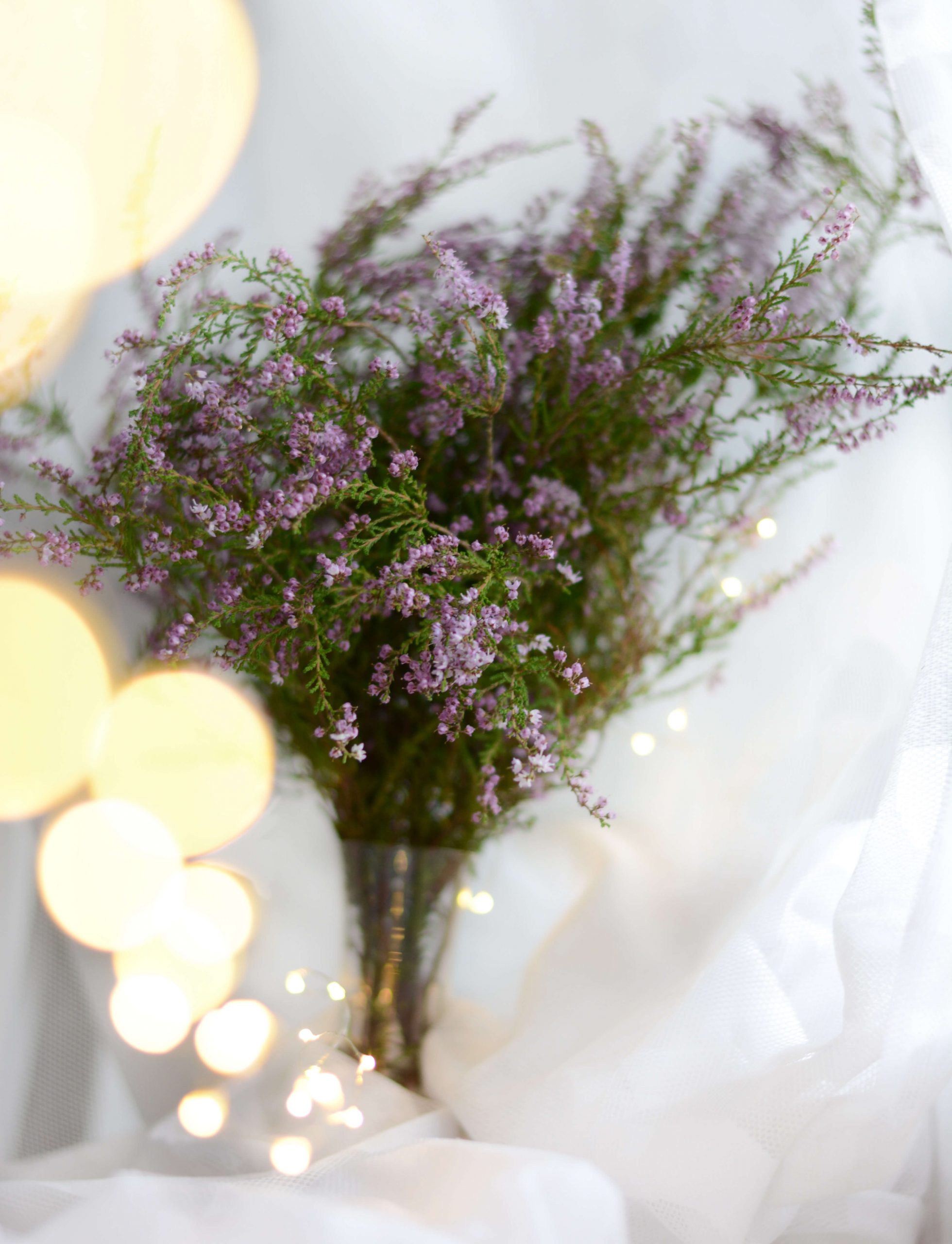 How to create heart shaped bokeh - MacroViewpoint.com