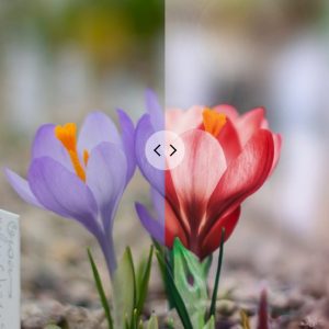 MacroViewpoint.com - Your guide on Instagram and Photography