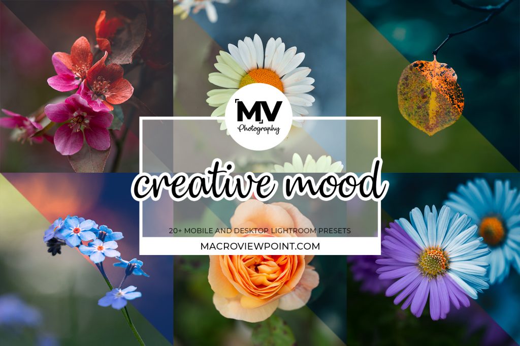 MacroViewpoint.com - Your guide on Instagram and Photography