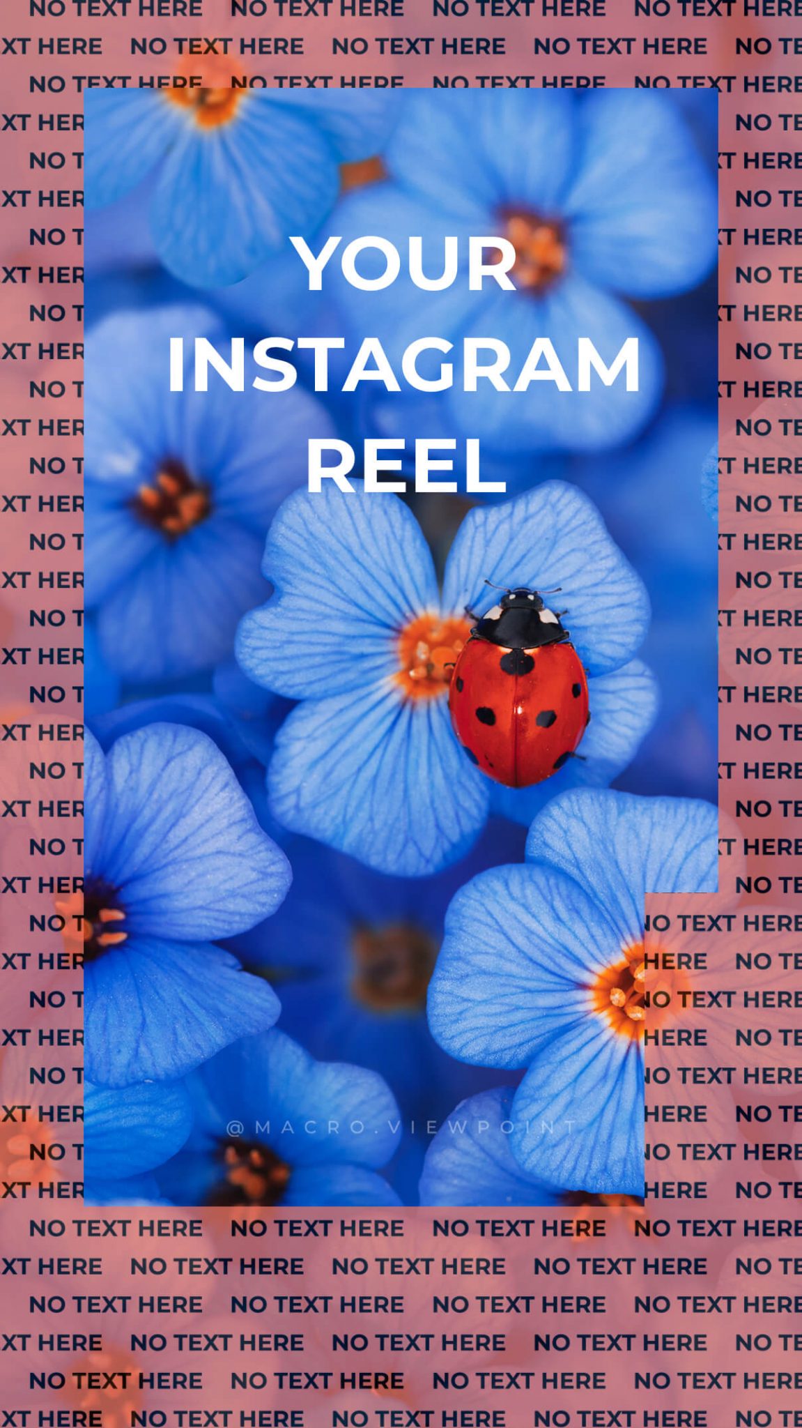 8 Instagram Reel Tips & Beginner's Guide - MacroViewpoint.com