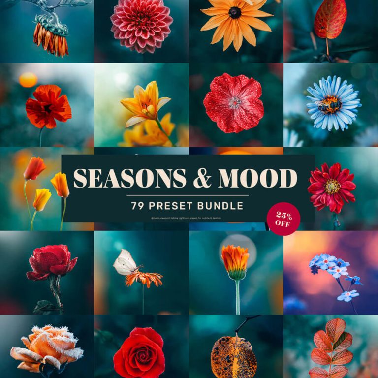 Macro Viewpoint - Editing, Photography & Instagram guide