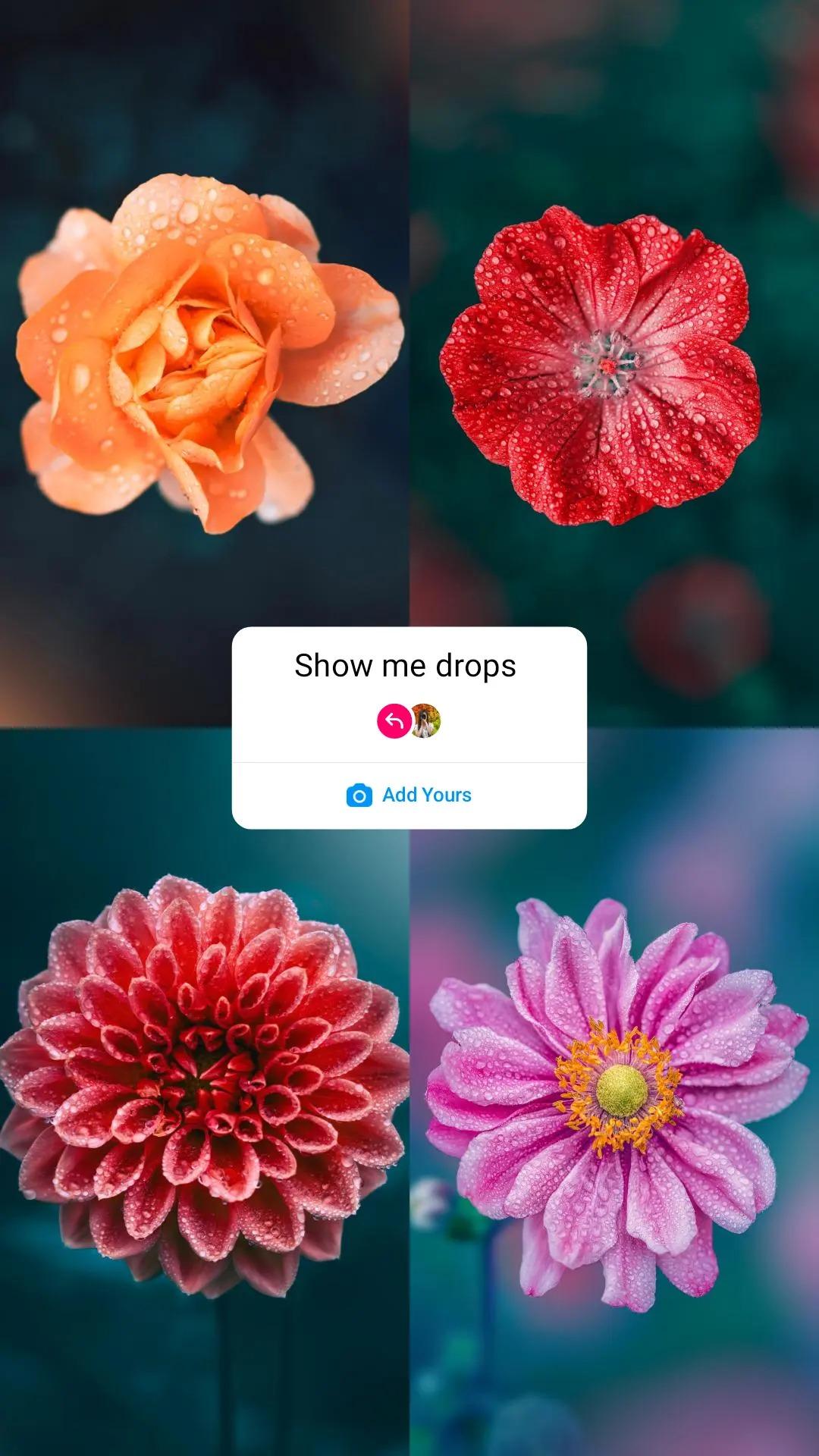 How to Create See-through "Add Yours" Instagram Story Templates ...