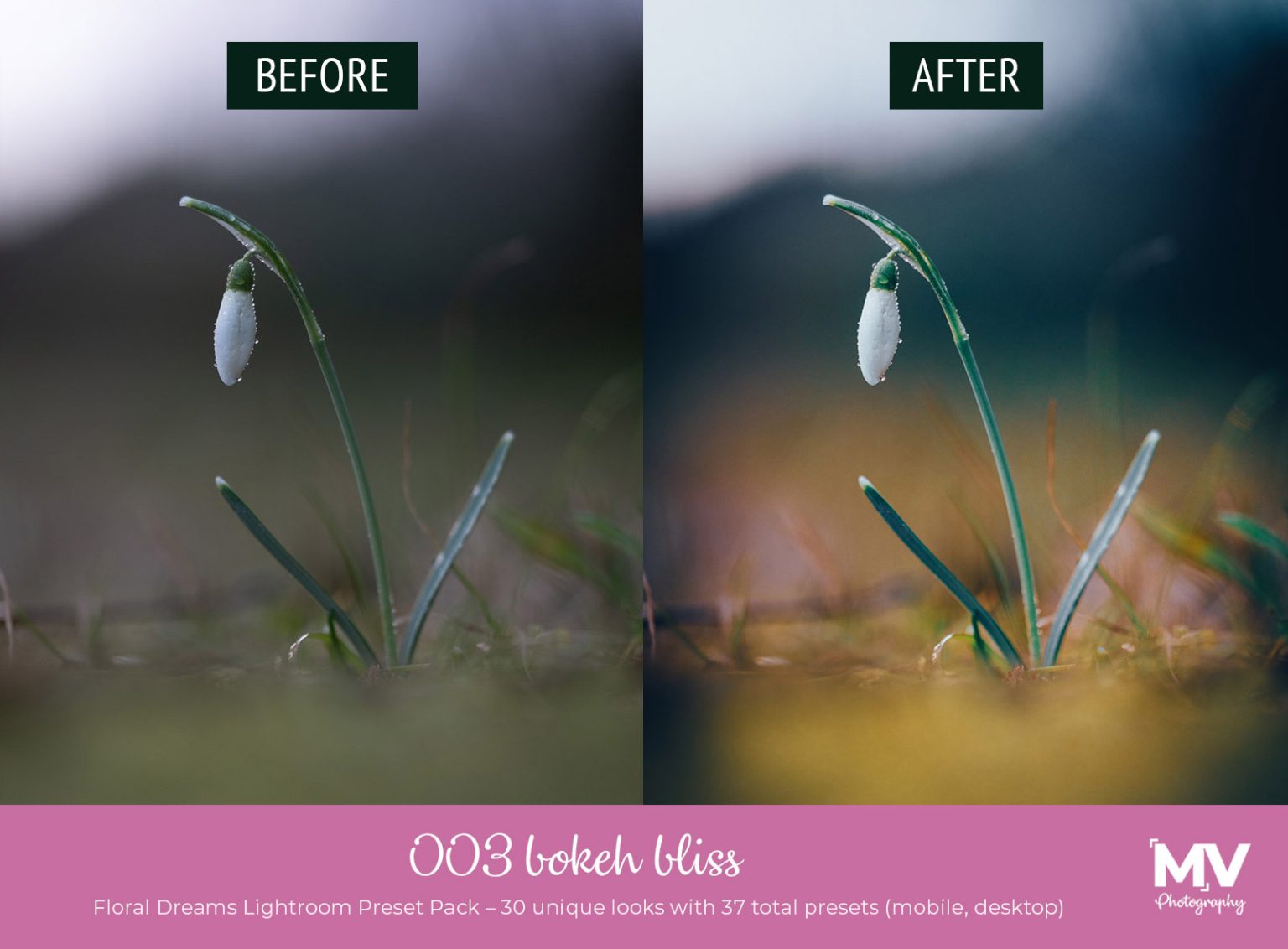 30 Flower Lightroom Presets | Floral Dreams by Macro Viewpoint