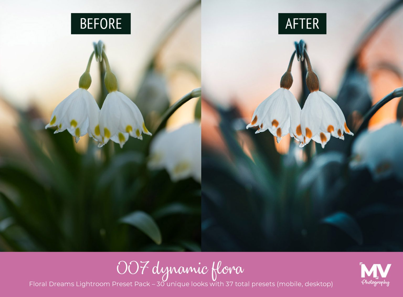 30 Flower Lightroom Presets | Floral Dreams by Macro Viewpoint
