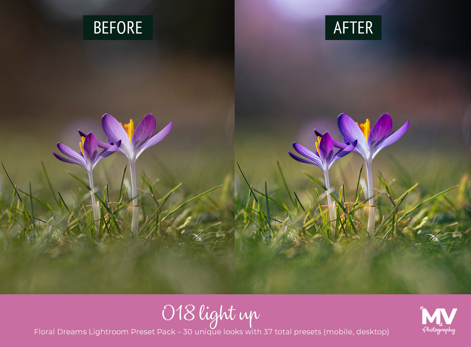 30 Flower Lightroom Presets | Floral Dreams by Macro Viewpoint