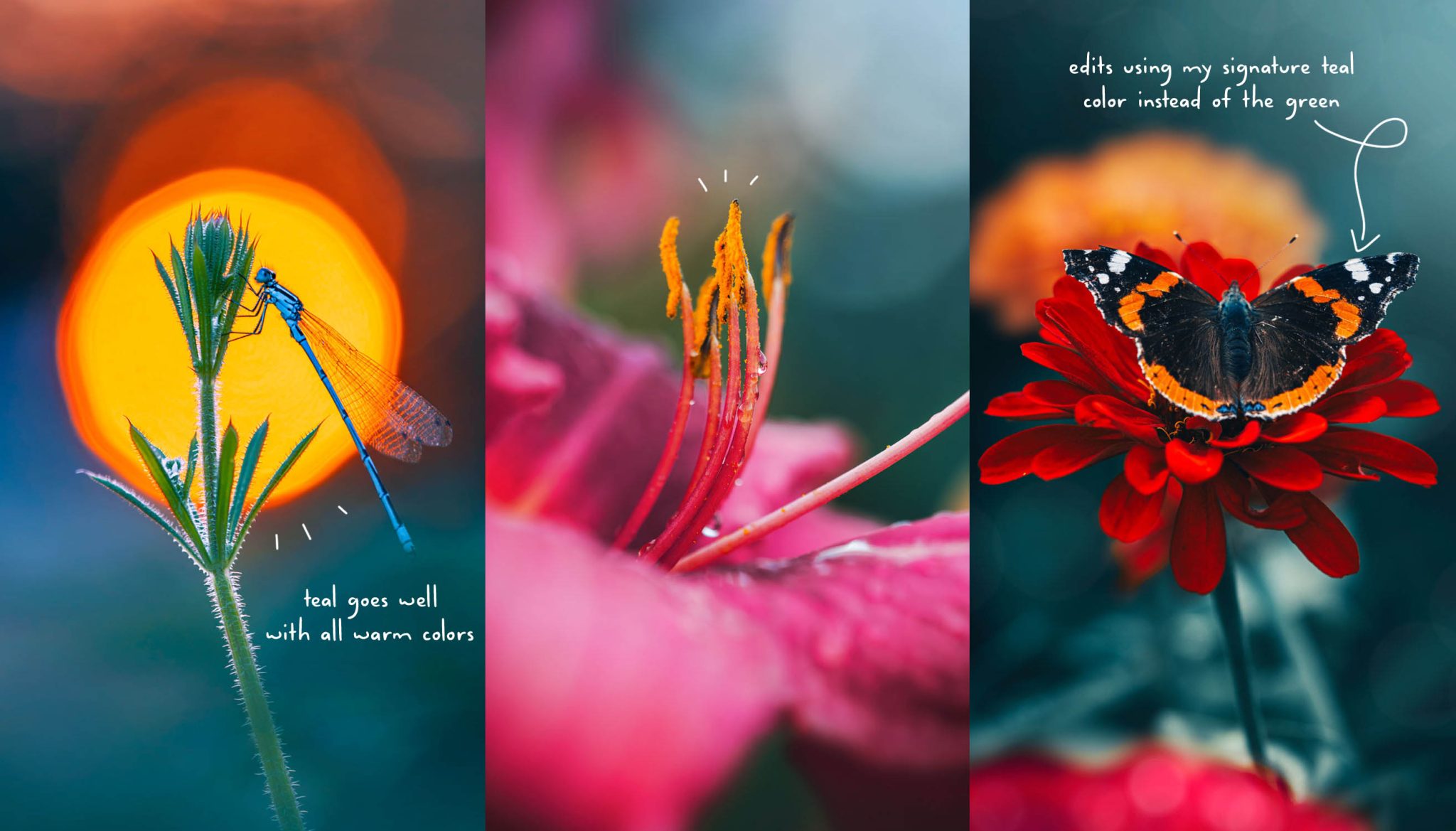 How to Make Photo Edits More Vibrant and Eye-Catching