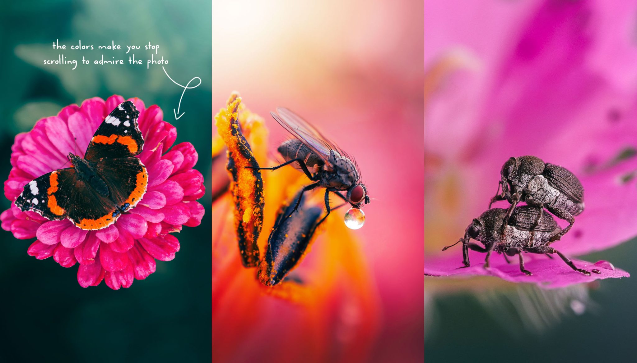 How to Make Photo Edits More Vibrant and Eye-Catching